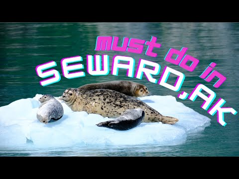 Top 5 things to do in Seward, Alaska...Did you try them all? Travel Tips for Alaska