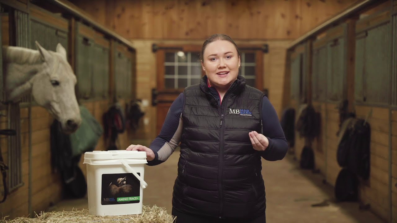 AminoTrace+ Mineral & Vitamin For Metabolic Horses