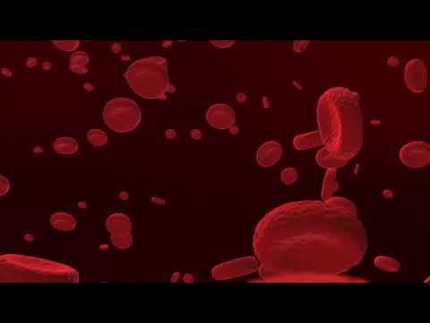 3 Types of Lung Diseases & the Most Common Lung Diseases (Chronic Obstructive Pulmonary Disease)
