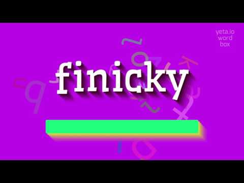 FINICKY - HOW TO PRONOUNCE FINICKY?
