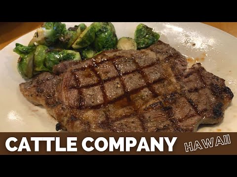 CATTLE COMPANY STEAKHOUSE || HOLO HOLO ADVENTURES