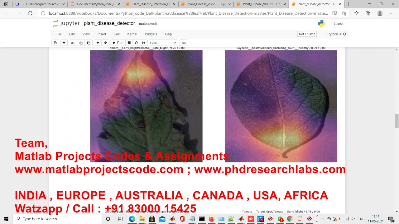 PLANT LEAF DISEASE DETECTION AND CLASSIFICATION | PYTHON CODE | www.matlabprojectscode.com