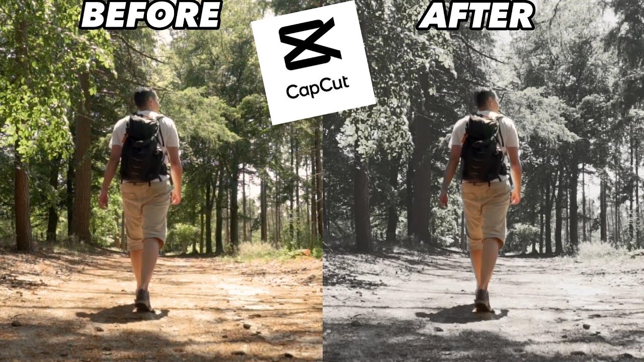 Dramatic Black And White Background in Capcut