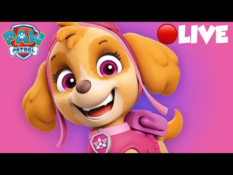 🔴 PAW Patrol Skye Special! Live Stream - Cartoons for Kids