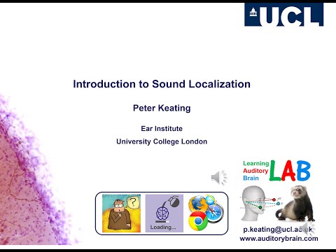 Hearing Practicals – UCL Ear Institute