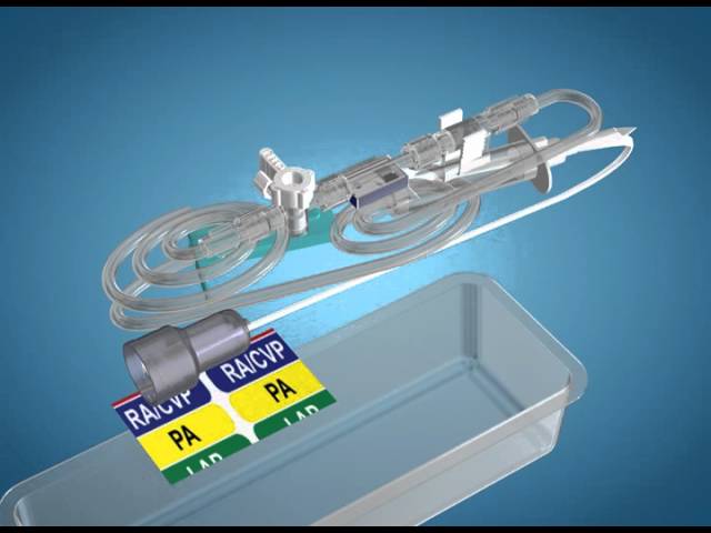 IBP Kit - Ibp Disposable Pressure Transducer Kit (Philips/ B BRown ...