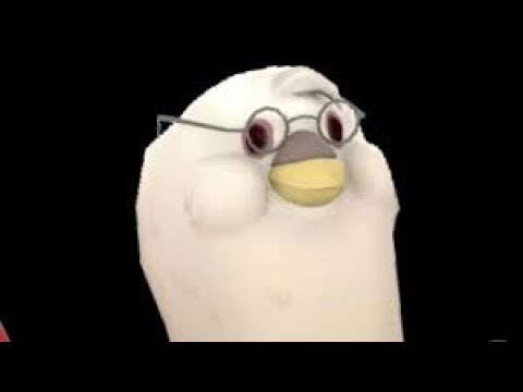 Steam Community :: Video :: The Life of a Medic Bird