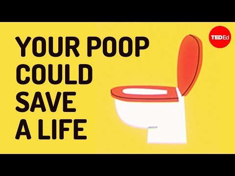 Poo, fecal microbial, faeces Transplant !!! | How to improve your ...