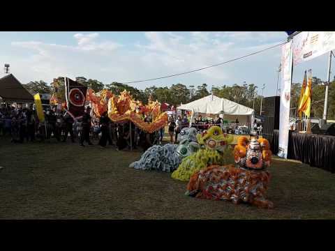 Dragon Dance at Vietnamese Tet Festival 2017