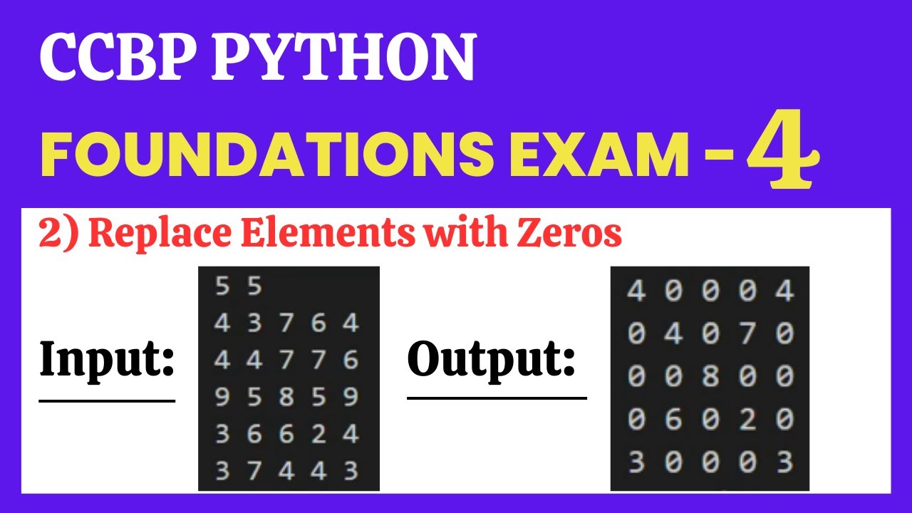 Replace Elements with Zeros | Foundations Exam - 4 | Python | CCBP 4.0