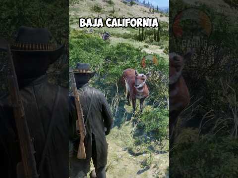 RDR2 : 5 COMPLETED OFF MAP locations #rdr2 #gaming #arthurmorgan #rdo #rockstar