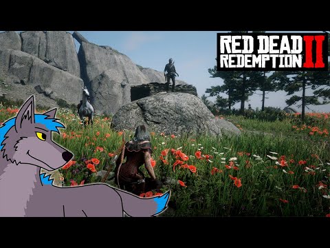 Steam Community :: Video :: [RDR2] Давай поиграем #2