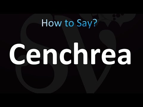 How to Pronounce Cenchrea (correctly!)