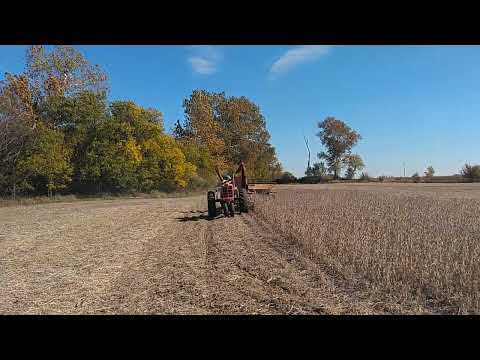 Ford 16-47 combine cutting beans at the DuValls 2023