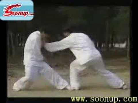 BASIC WAY TO LEARN WUS' BAJIQUAN —JINGGONG