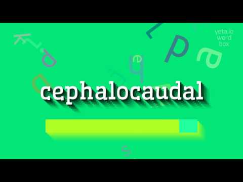 How to say "cephalocaudal"! (High Quality Voices)