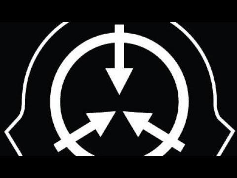 Scp 787 самолёт которого не было