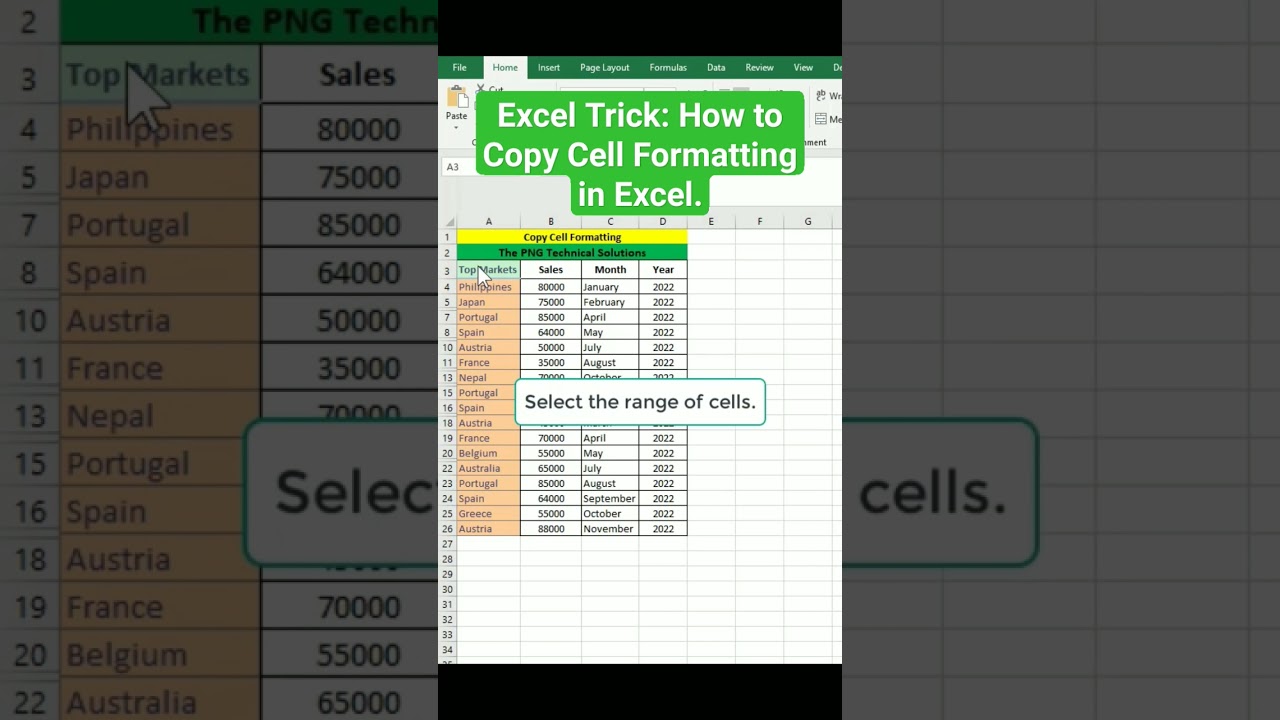 Excel Trick: How to Copy Cell Formatting in Excel.