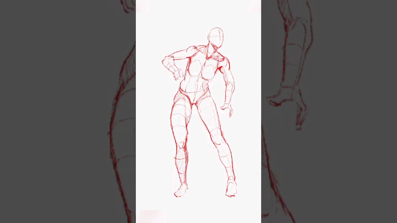 Female Pose #timelapsedrawing #sketch #procreate #drawing #poses