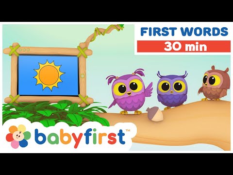 Hoot, Scoot & What | Learn Vocabulary for Kids | Learn Animals & Words for toddlers | BabyFirst TV