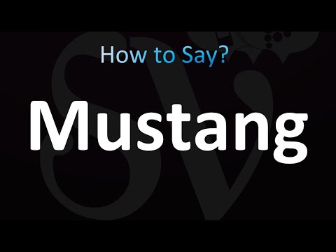 How to Pronounce Mustang (correctly!)