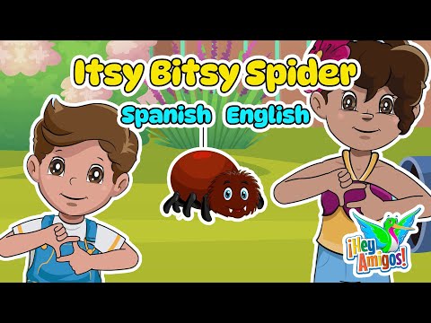 Spanish and English Spider Song for Preschoolers: Bilingual Itsy Bitsy Spider | HeyAmigos.com