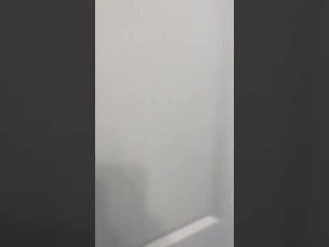 Apartment tour: Avilla LakeRidge (2 Bed/2 bath) *comes with a small backyard*