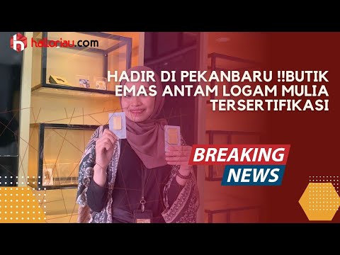 HADIR DI PEKANBARU ‼️BUTIK EMAS ANTAM LOGAM MULIA TERSERTIFIKASI #shorts #pekanbaru