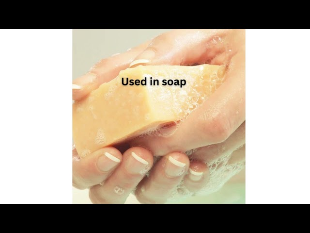 Cosmetic Chemicals - Gincol Glycerol mono stearate Manufacturer from ...