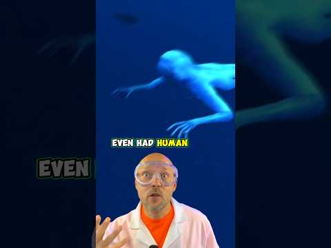The Japanese ningen