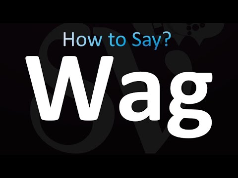 How to Pronounce Wag (Correctly!)
