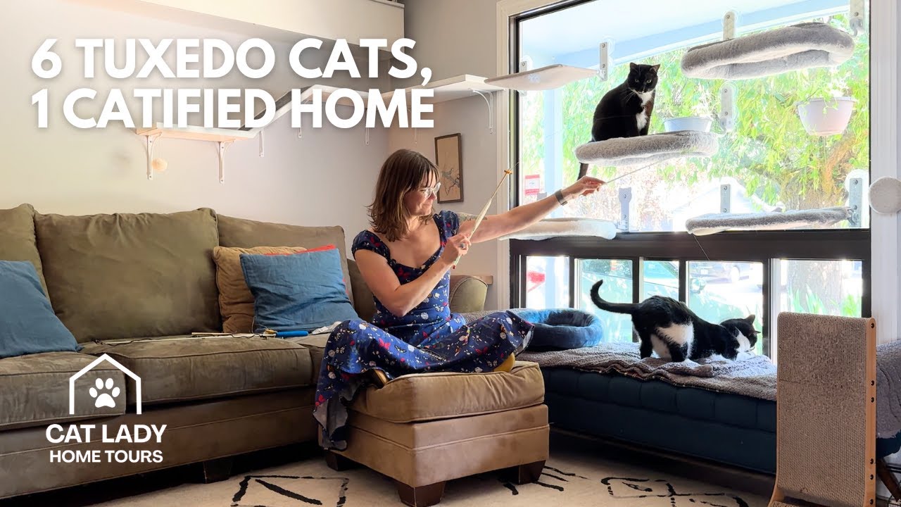 6 Tuxedo Cats Rule This Cleverly Catified PORTLAND Home | Cat Lady Home Tour