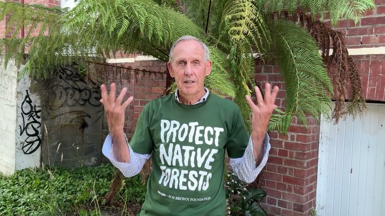 Down to Earth with Bob Brown — 15,000 people march for forests
