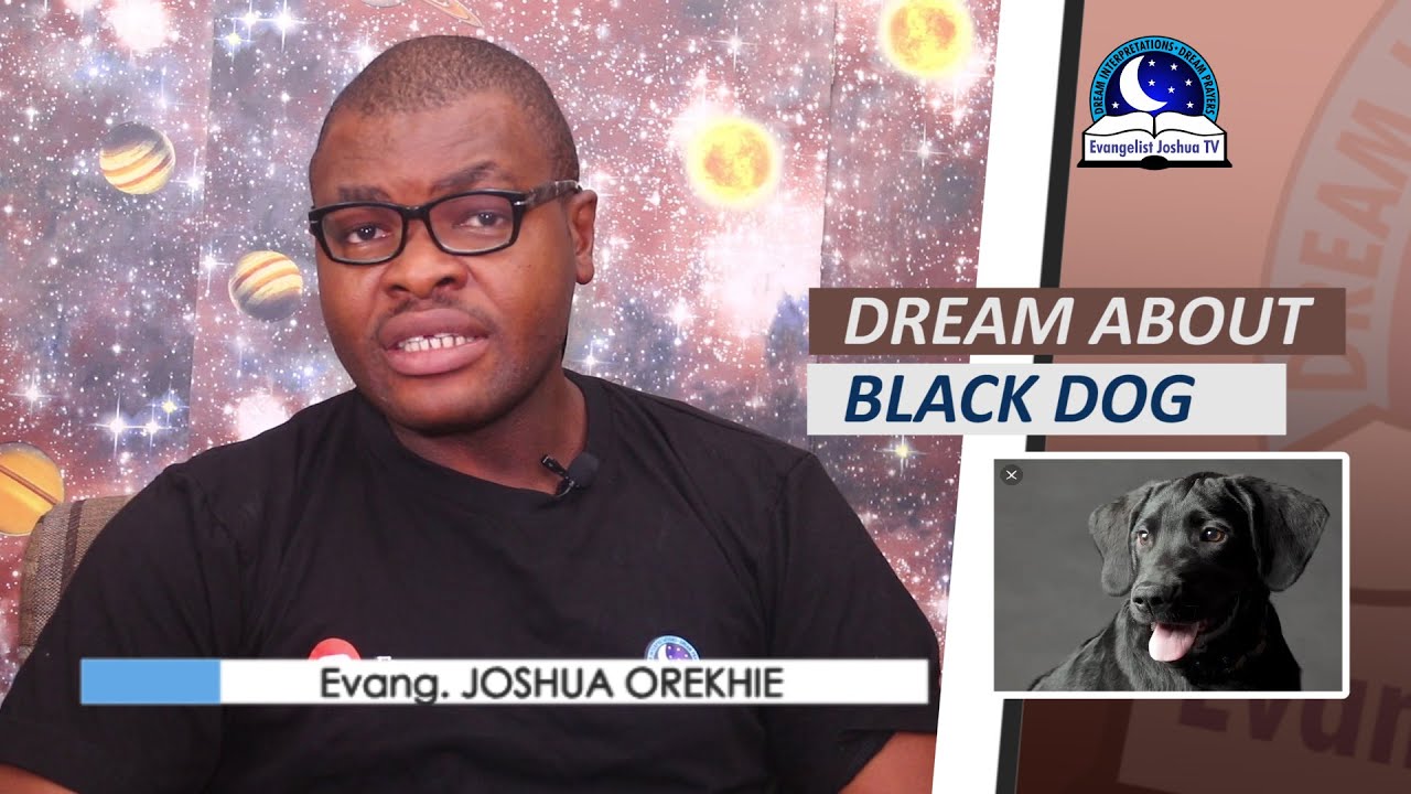 DREAM ABOUT BLACK DOGS - Find Out The Biblical Dream Meaning