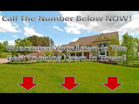 Lawn Service Jacksonville Fl - (904) 531-4777 Lawn Care Jacksonville Fl