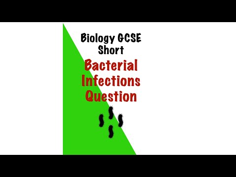 How to prevent resistant bacteria? GCSE Biology Paper 2 Question.