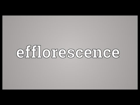 Efflorescence Meaning