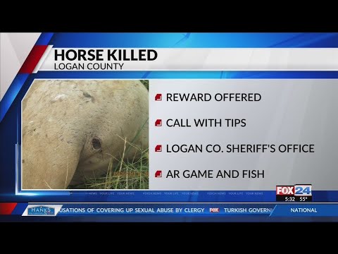 Cash Award Offered for Info on Logan Co. Horse Shooting (Fox 24)