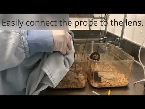 Neurescence Quartet® - Social Interaction - Simultaneous Calcium Imaging in freely behaving mice