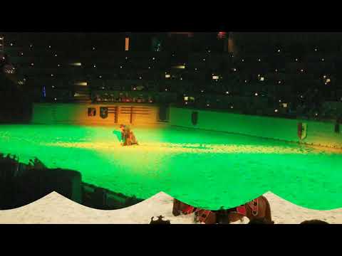 Medieval Times Chicago