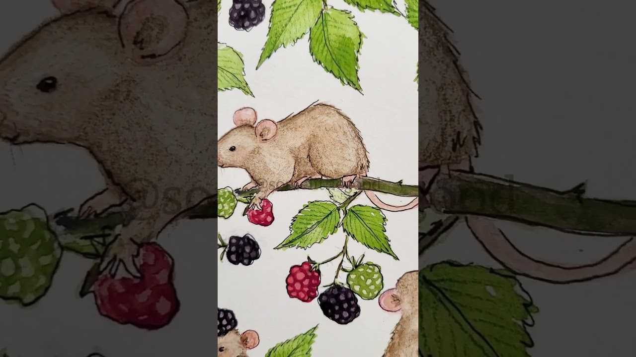 Blackberry Mice // Watercolor Painting #watercolorpainting #watercolorart #beatrixpotter