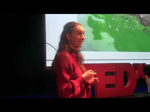 The Rights of Nature Movement: Giving Nature a Voice | Josephine Brooks | TEDxYouth@SRDS