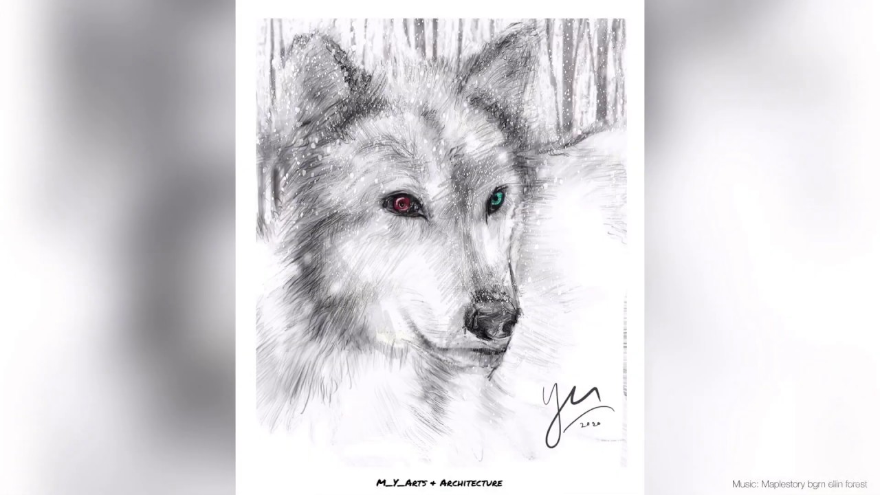 PROCREATE - Wolf [ Digital art time lapse ]