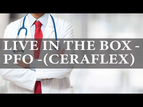 LIVE IN THE BOX -- PFO - ( CERAFLEX )