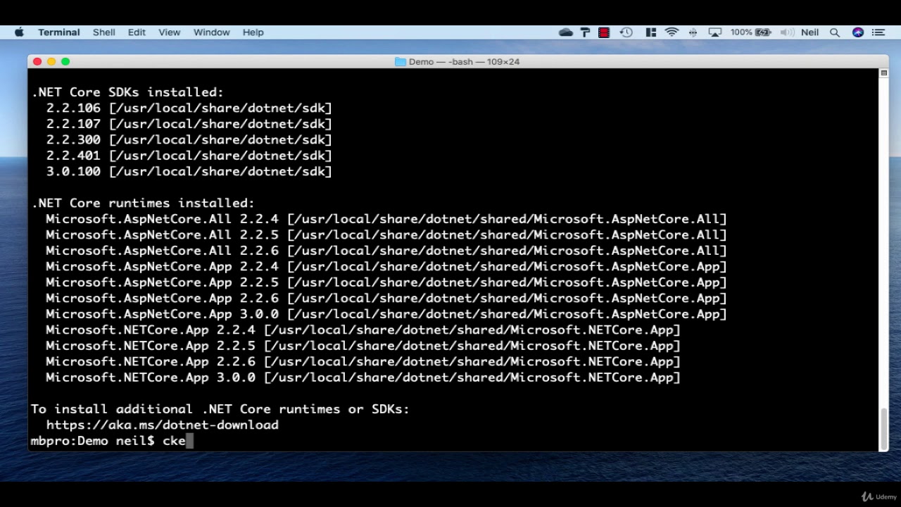 2  Creating the DotNet Core WebAPI using the DotNetCLI