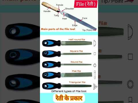 file, types of file