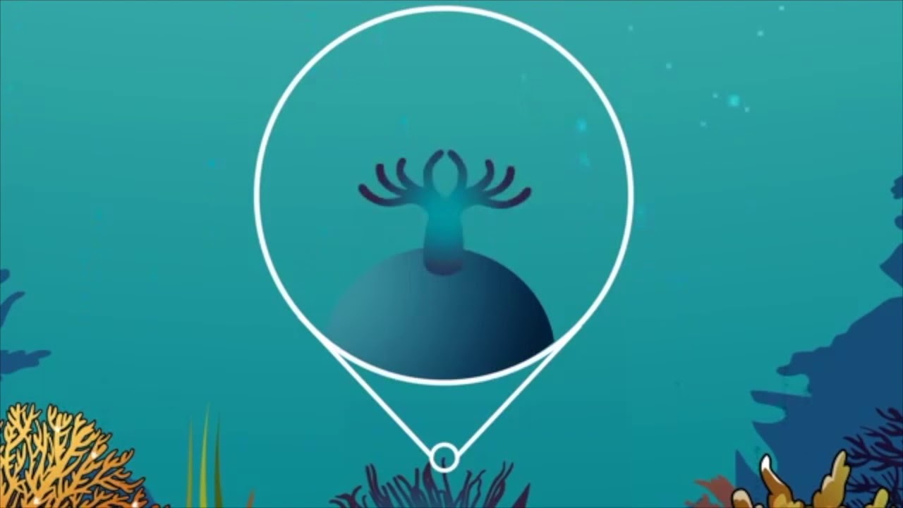 An Introduction to Coral Reefs