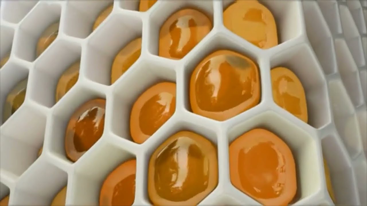 LRT Idents 2012 2016