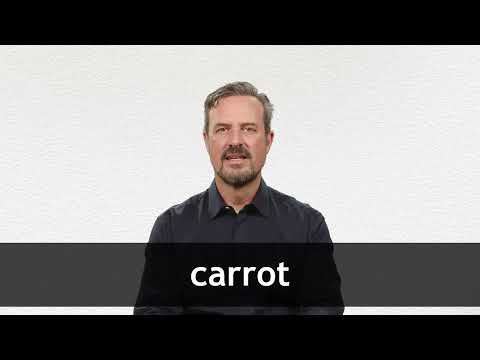 How to pronounce CARROT in American English