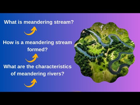 What is meandering stream? How is a meandering stream formed?